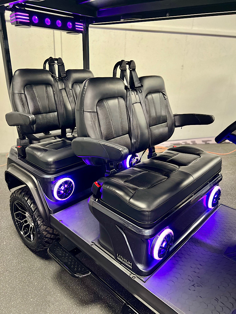 2025 Evolution D5 Maverick 4 Plus - Arctic Grey - Joe's Carts
